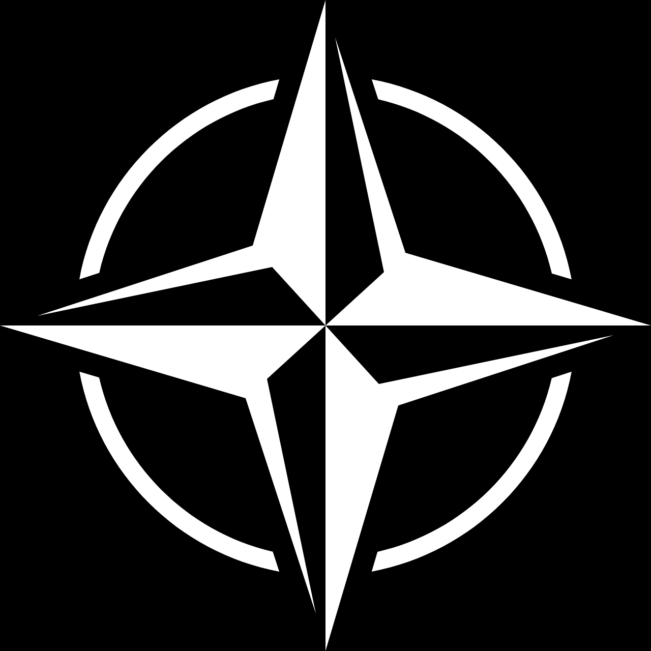 Besomar — безпілотні авіаційні комплекси для для розвідки та ураження