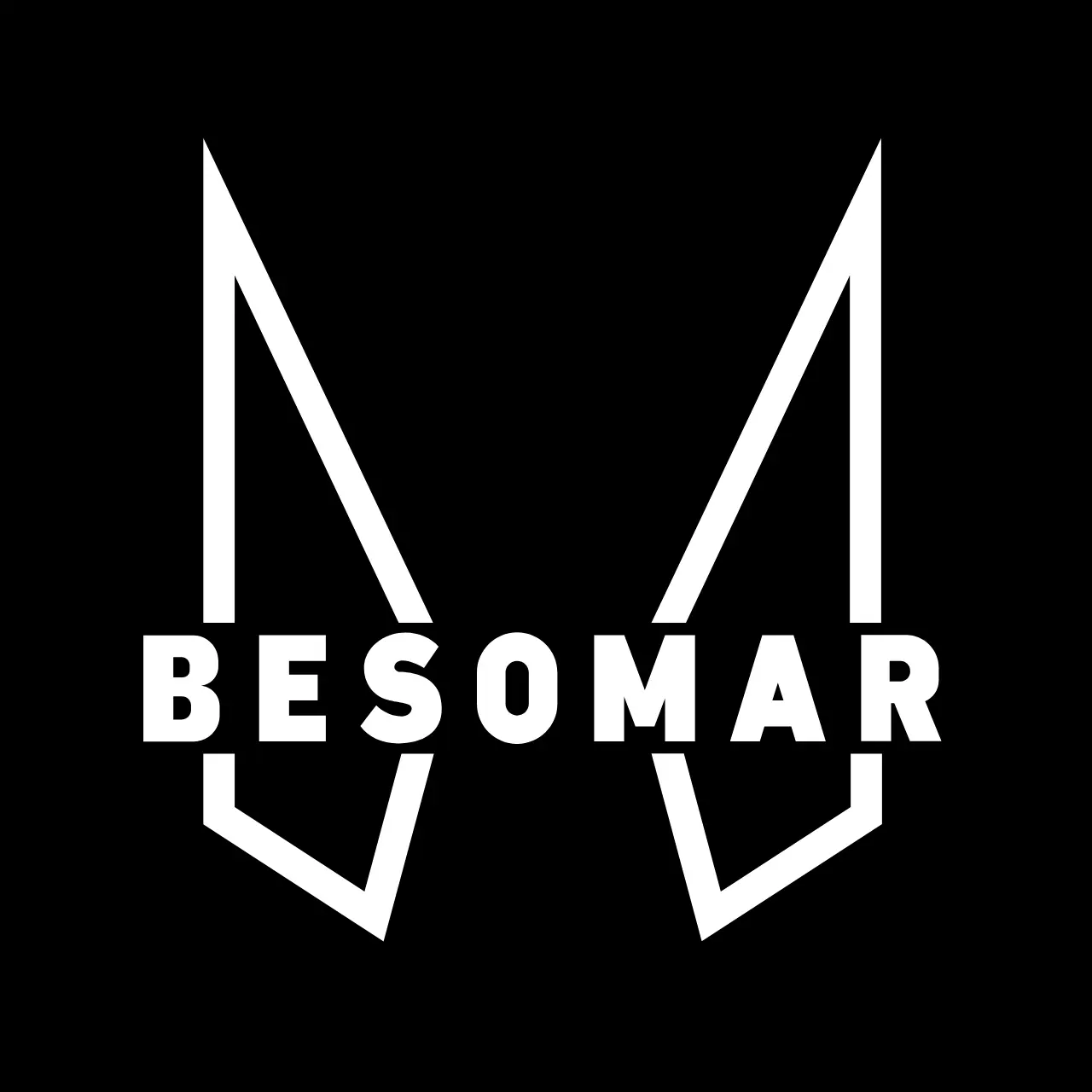 Besomar — дрон - перехоплювач - БпЛа літакового типу